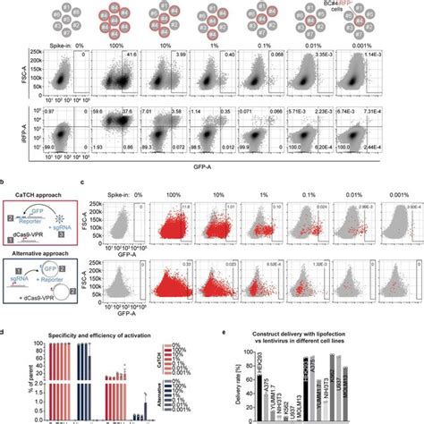 Anna Obenauf Research Institute Of Molecular Pathology Vienna Imp