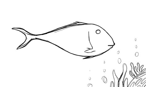Fishphotography By Klis5543 On Deviantart