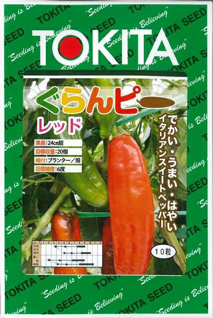 楽天市場パプリカぐらんピー シリーズ 10粒 トキタ種苗グリーンロフトネモト