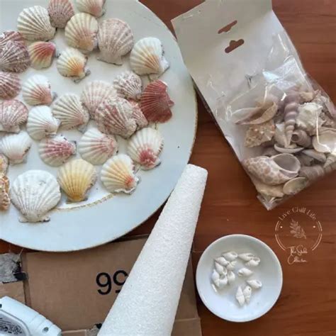 How To Make A DIY Sea Shell Christmas Tree Live Chill Life