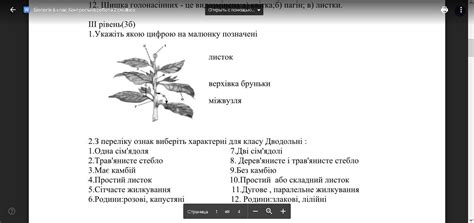 1 укажіть якою цифрою на малюнку позначенні Школьные Знания Com