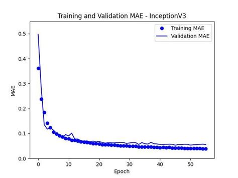 example inceptionv3 fine tuning loss function history download