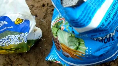 ПОДКОРМКА СМОРОДИНЫ ВЕСНОЙ Youtube