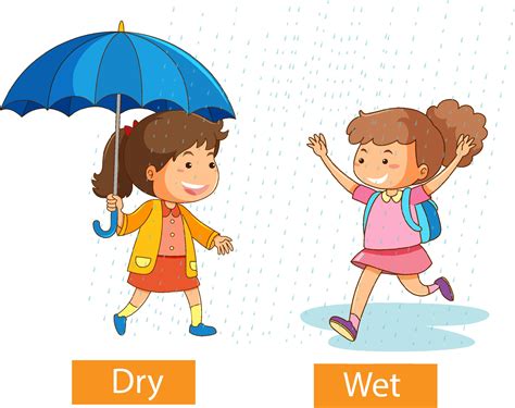 Dry Vs Wet Clothes