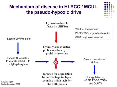 Unlocking The Secrets Of Complex Inheritance Patterns Answer Key