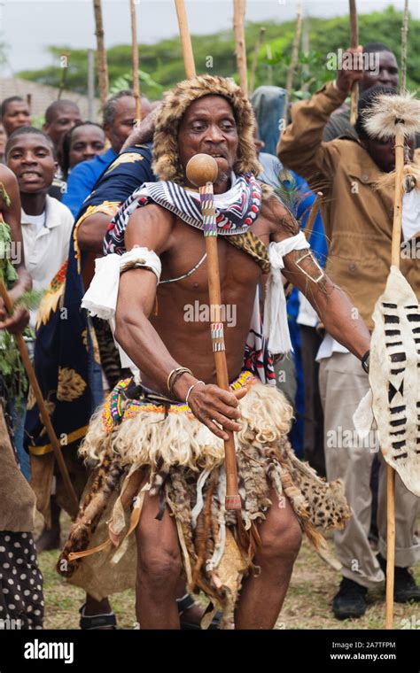 What Do Zulu Man Wear At Danielle Harrison Blog