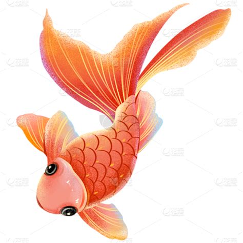 手绘 金鱼动物元素贴纸2 手绘 金鱼动物元素贴纸2