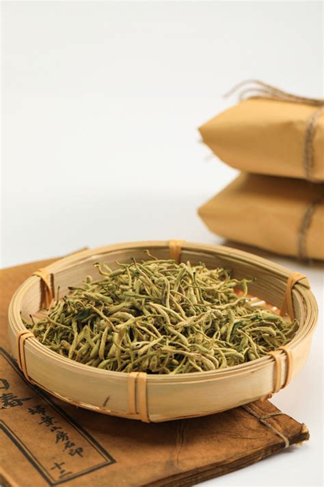 金银花中草药中药材摄影图