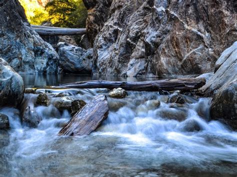 Where To Swim In Big Sur Top 7 Beaches And Hidden Coves The Parks Life