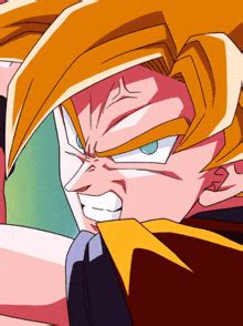 Dragon Ball Z Goku Kamehameha S Tenor