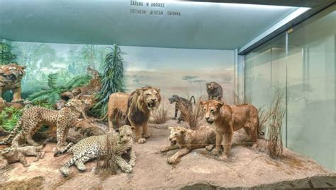 ΜΟΥΣΕΙΟ ΓΟΥΛΑΝΔΡΗ ΦΥΣΙΚΗΣ ΙΣΤΟΡΙΑΣ Virtual Tours 360orasis Gr