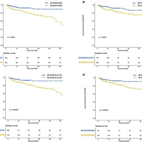 Two Representative Cases Of Three Dimensional 3d Right Ventricular Download Scientific