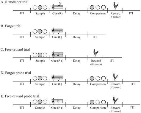 figure 1 from neural correlates of directed forgetting in the avian