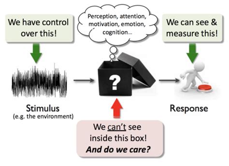 Flashcard Consumer Learning Behavioural And Cognitivist Theories Quizlet