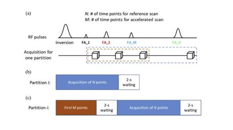 High Resolution 3d Mr Fingerprinting Using Parallel Imaging And Deep Learning Article