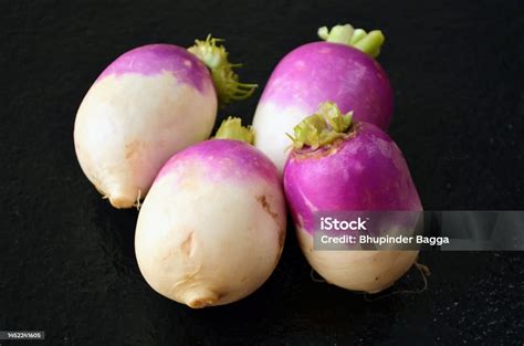 순무 또는 흰 순무 브라 시카 라파 는 흰색의 다육 질의 뿌리 줄기로 전 세계적으로 온화한 기후에서 일반적으로 재배되는 뿌리 채소입니다 검은색 배경의 흰색과 보라색 순무 0