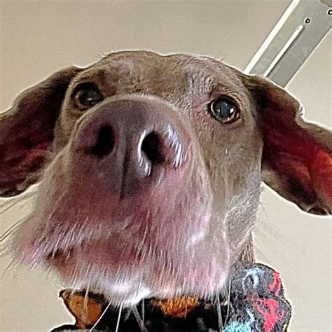 John Robin Jr Jr69 • Threads Say More