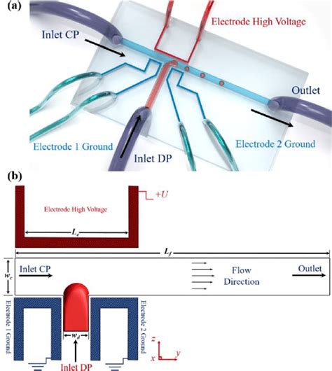 Schematic And Geometrical Model Of The T Junction Structure With