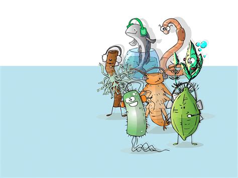 Bioindicators Biomonitoring By Dimitrija Savić Zdravković On Dribbble