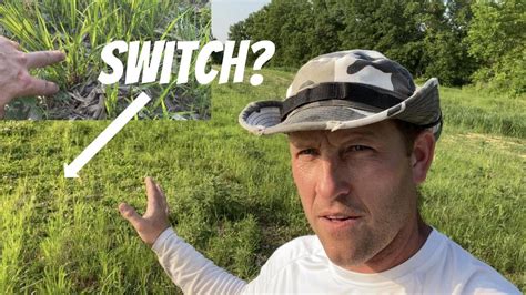 Switchgrass Weed Control Jake Answers Common Questions About Identifying And Spraying Youtube