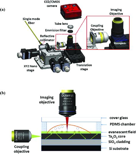 Schematic Diagram Of Chip Based Imaging Setup And Waveguide Tirf Download Scientific Diagram