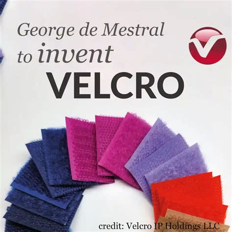 The Best 50 Biomimicry Examples And Inventions Of All Time