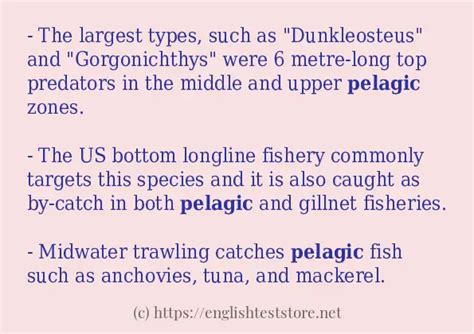 Pelagic In Sentences Englishteststore Blog