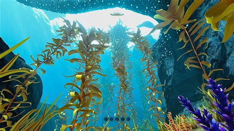 Relaxing Ambience Arctic Kelp Forests Pt 2 Subnautica Below Zero