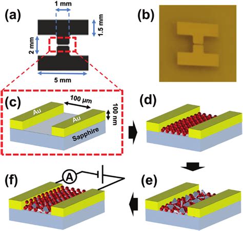 A Schematic Diagram Of The Photodetector Fabrication A The Geometry Download Scientific