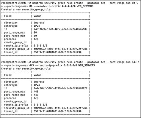 learning openstack networking neutron
