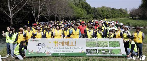 송파구 생태계 교란식물 퇴치 캠페인 뉴스1