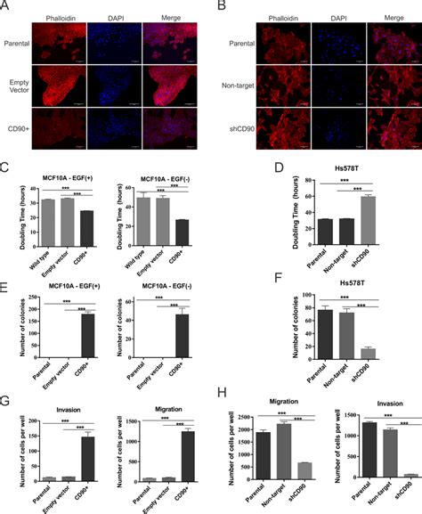 Mcf10a Hs578t And Transformed Cells Characterization A B Cell Download Scientific Diagram