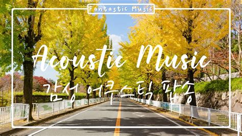 작업용 Bgm 가을 감성 자극하는 어쿠스틱 팝 And 발라드 모음 Autumn Mood Youtube