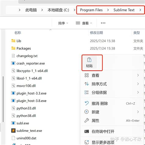 Sublime Text 4下载安装教程（附安装包）包含下载、安装、激活、汉化 知乎