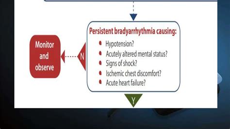 24 Acls Protocolpptx