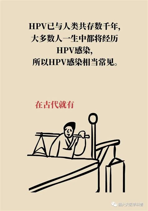 感染了hpv，就一定会得宫颈癌？澎湃号·湃客澎湃新闻 The Paper