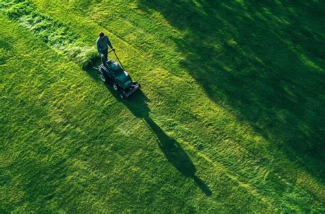 Photos Libelule 40 Photos De Haute Qualité Gratuites