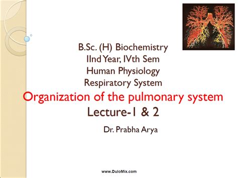 Pulmonary System Dulomix