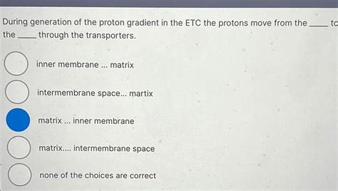 [answered] During Generation Of The Proton Gradient In The Etc The Kunduz