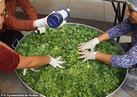 Mexican Town Sets Guinness World Record For Largest Batch Of Guacamole