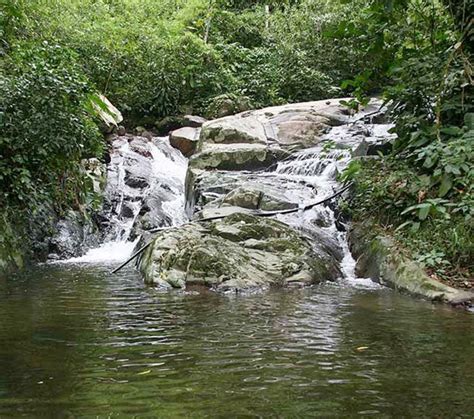 Parque Estadual Da Pedra Branca Rio De Janeiro