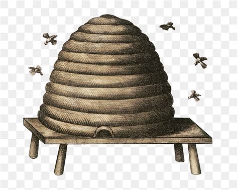 Beehive Png