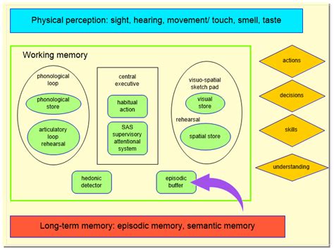 Capacity Of Working Memory Dyslexia Strategies