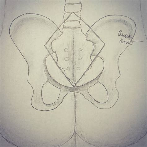 Atldoula The Rhombus Of Michaelis Is The Area That