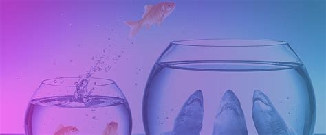 Prioritize Cyber Risk With Business Impact Analysis Holisticyber