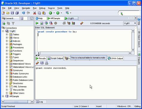 Execute Pl Sql Procedure Lelasopa