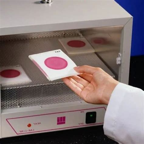 Coliform Testing Services At ₹ 501sample In Kolkata