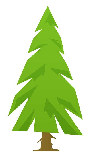 바늘 잎이있는 상록 나무 현대적인 평면 디자인 스타일 고립 된 이미지 0명에 대한 스톡 벡터 아트 및 기타 이미지 0명 12월 가문비나무 Istock