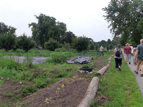 Farm Crawl Hamilton Attracts Visitors To Learn About Local Food And