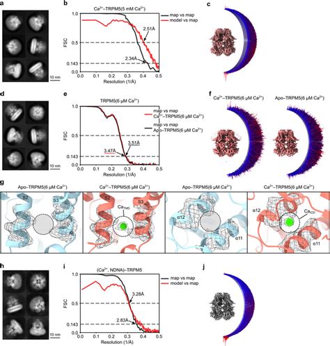 Cyro Em Analysis Of Trpm5 In The Presence Of Different Concentrations